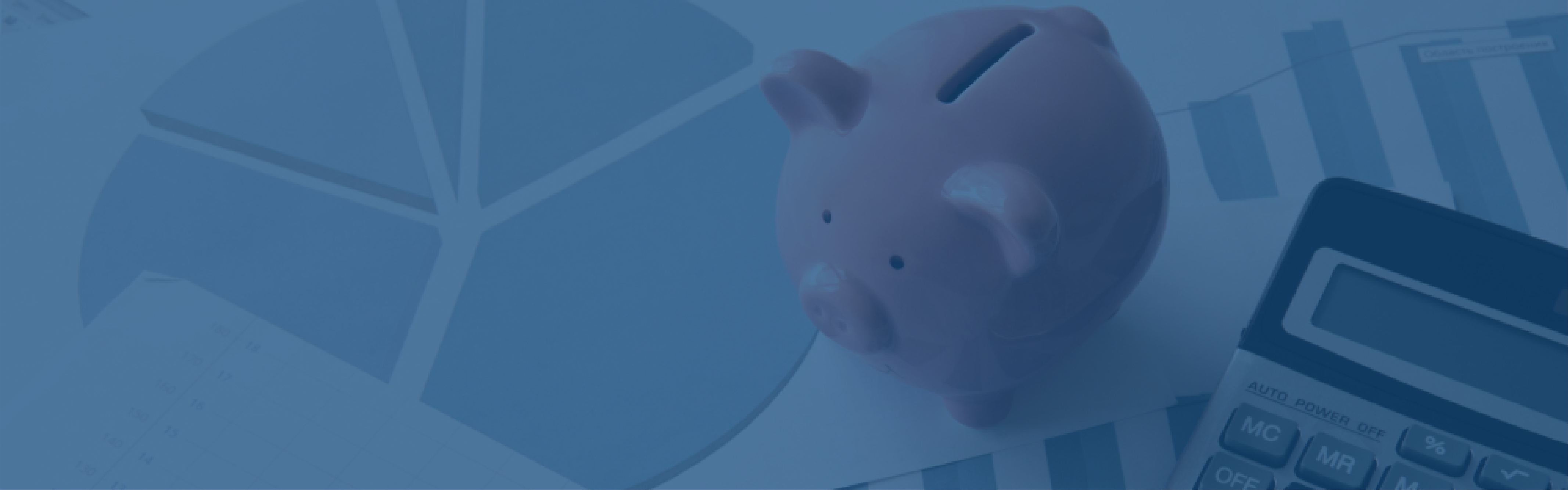 Payroll Services for Businesses | Account Sense